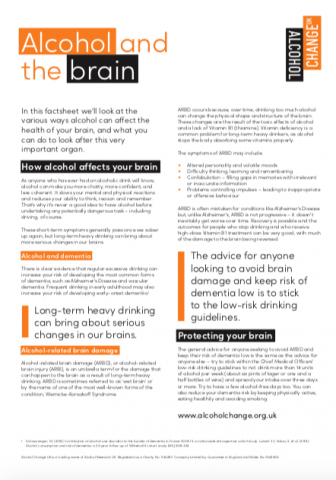 Fact Sheet: Alcohol and the Brain | International Society of Substance ...
