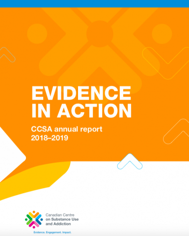Evidence in Action: CCSA Annual Report, 2018-2019 | International ...