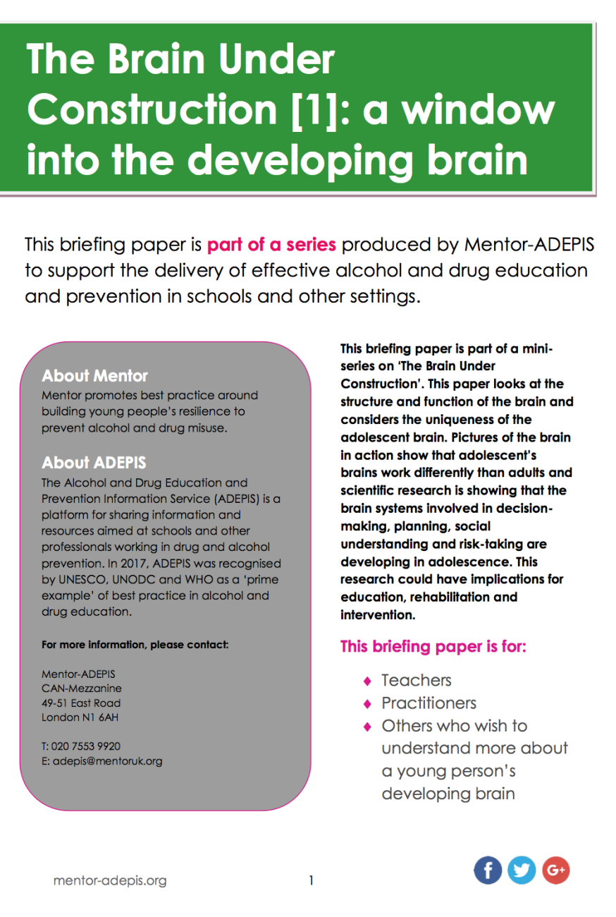 The Brain Under Construction – A Window into the Developing Brain ...